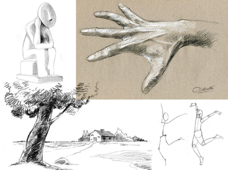 Les Bases Du Dessin - Cours De Dessin